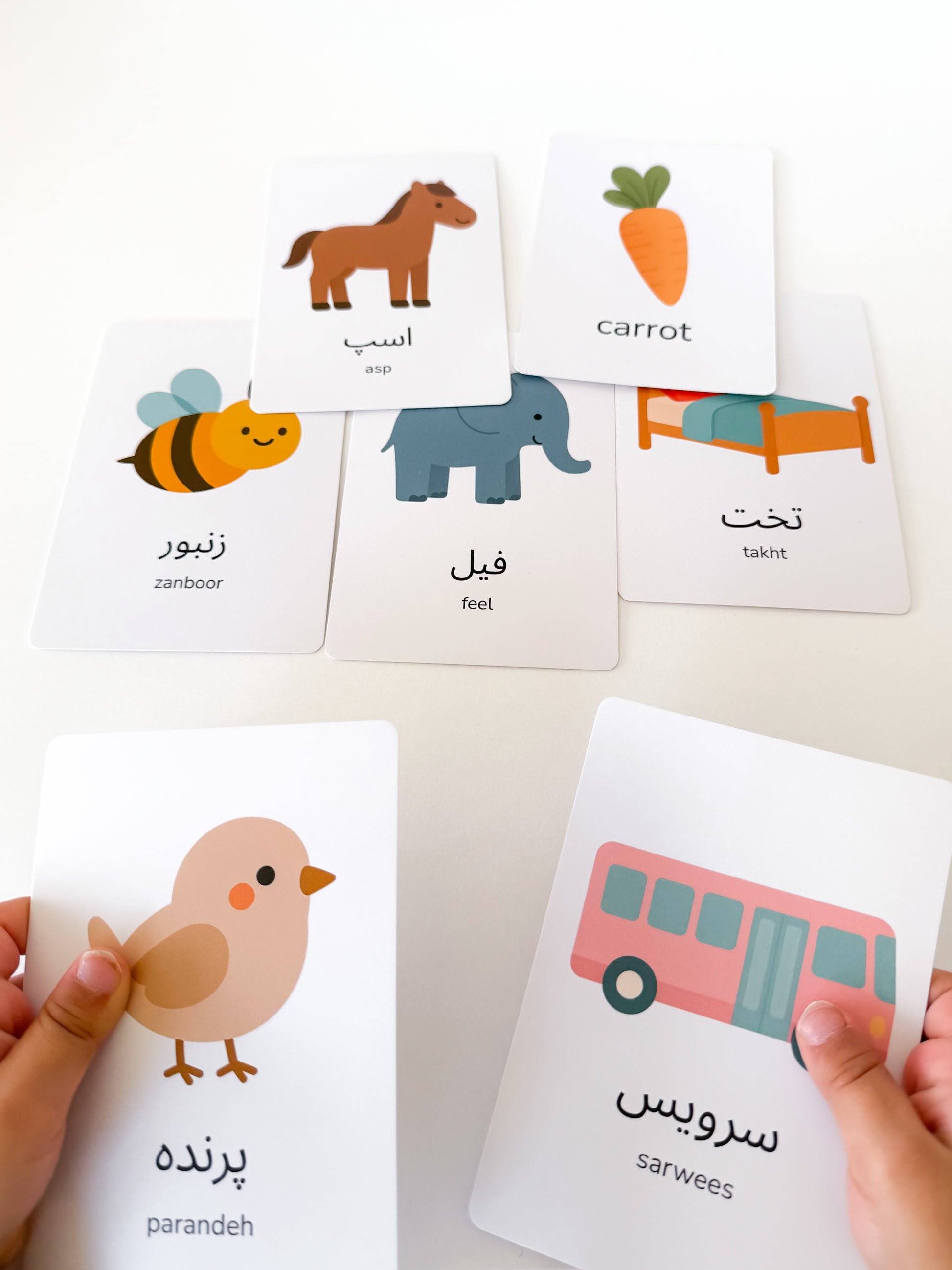 first words flashcards: english-farsi (afghanistan) – zabanak
